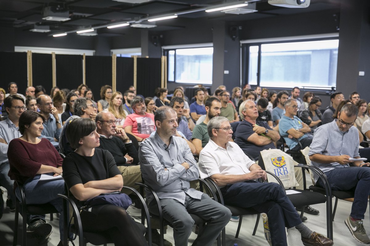 Translational surveillance: mechanisms, evolution, and roles in disease | IRB Barcelona